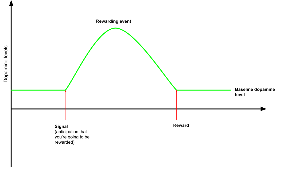 Dopamine: What Is It and How Does It Affect Our Behavior?