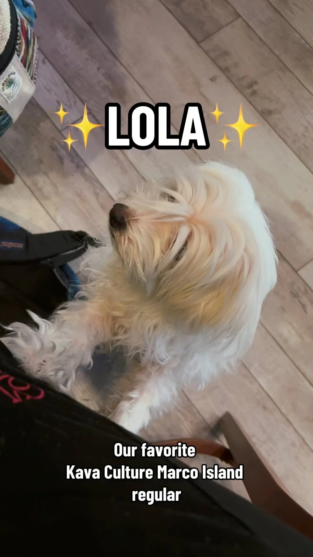 NOW OPEN - MARCO ISLAND — Kava Culture