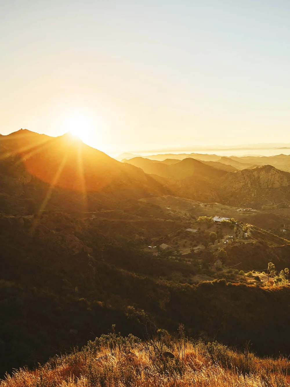 Chris Cusiter - Rugby Journal