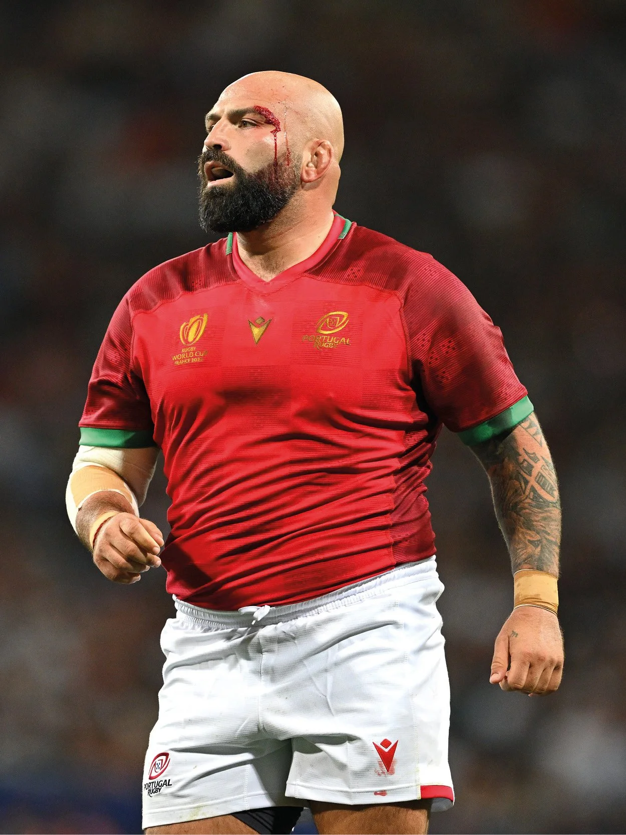 Mike Tadjer - Rugby Journal