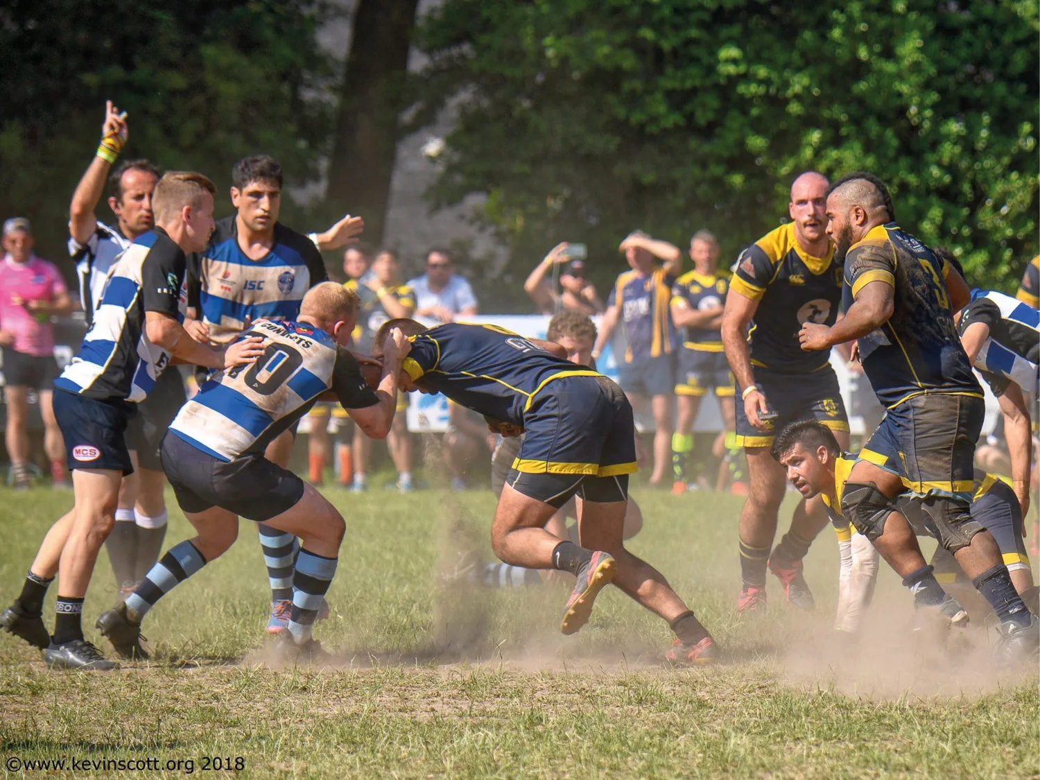 Mark Bingham - Rugby Journal