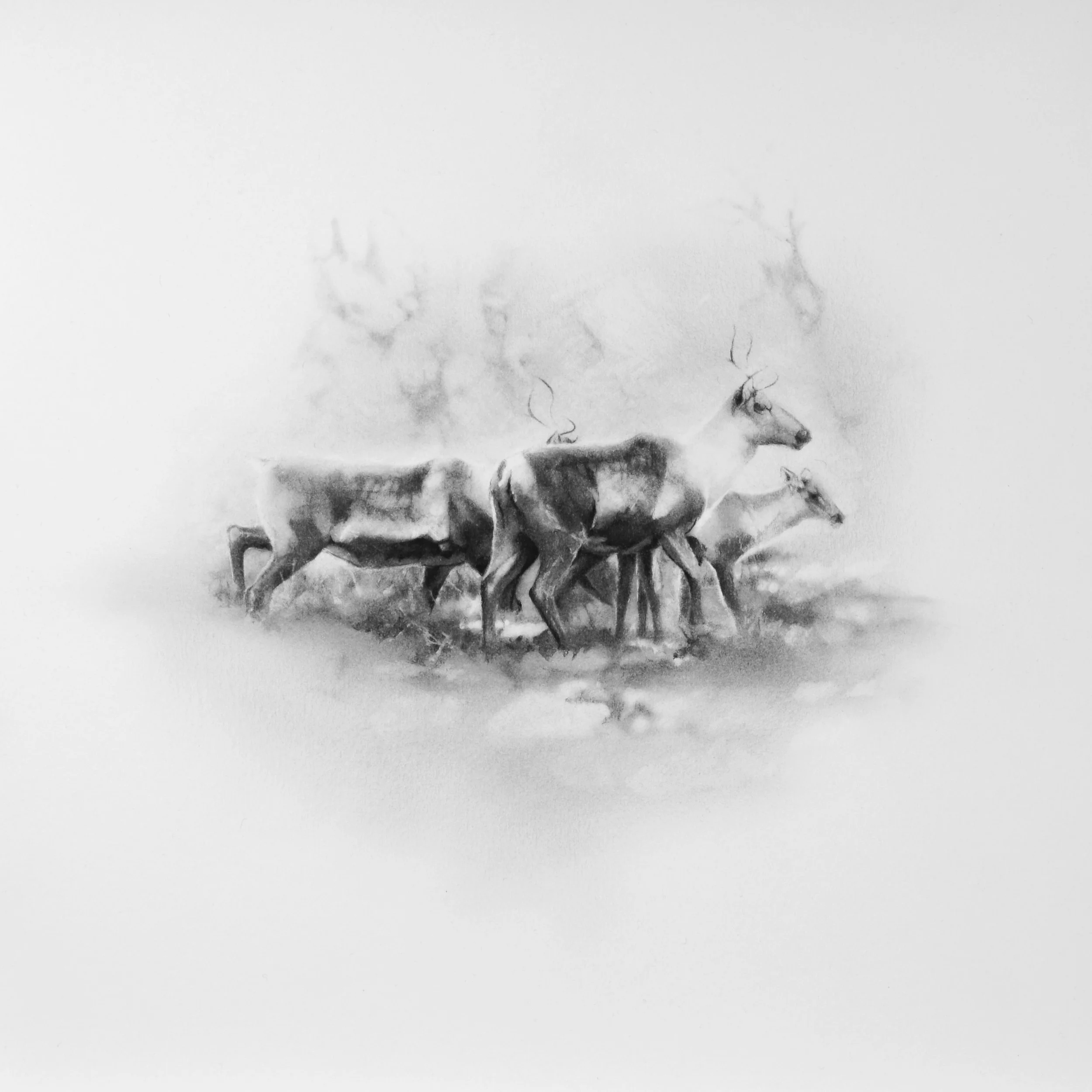 Available Originals — The Art of Ray Gamradt