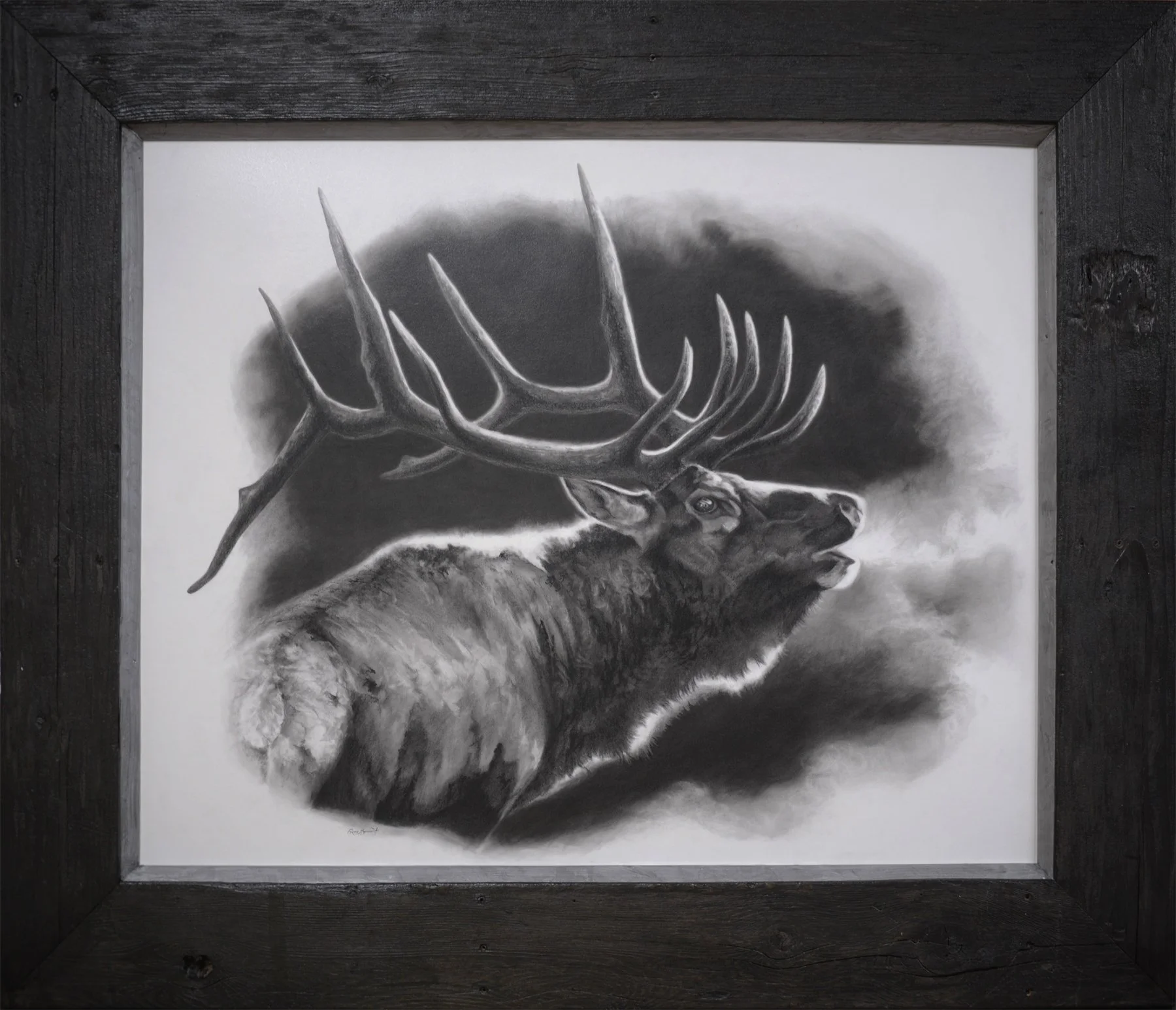 Bellows — The Art of Ray Gamradt