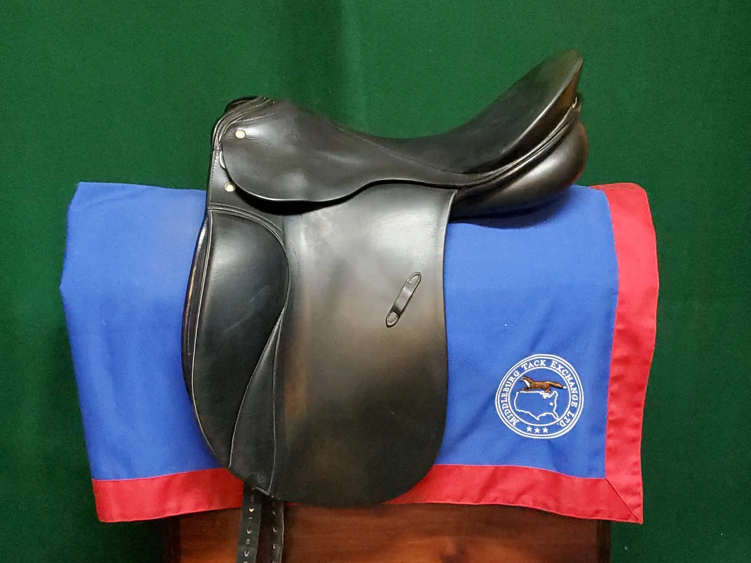 Saddle Fitting the Short-Backed Horse | The Horse Forum