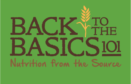 Back to the Basics 101