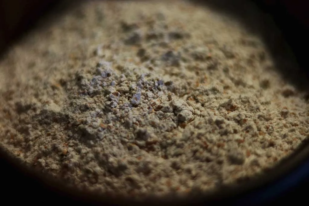 Store — Back to the Basics 101