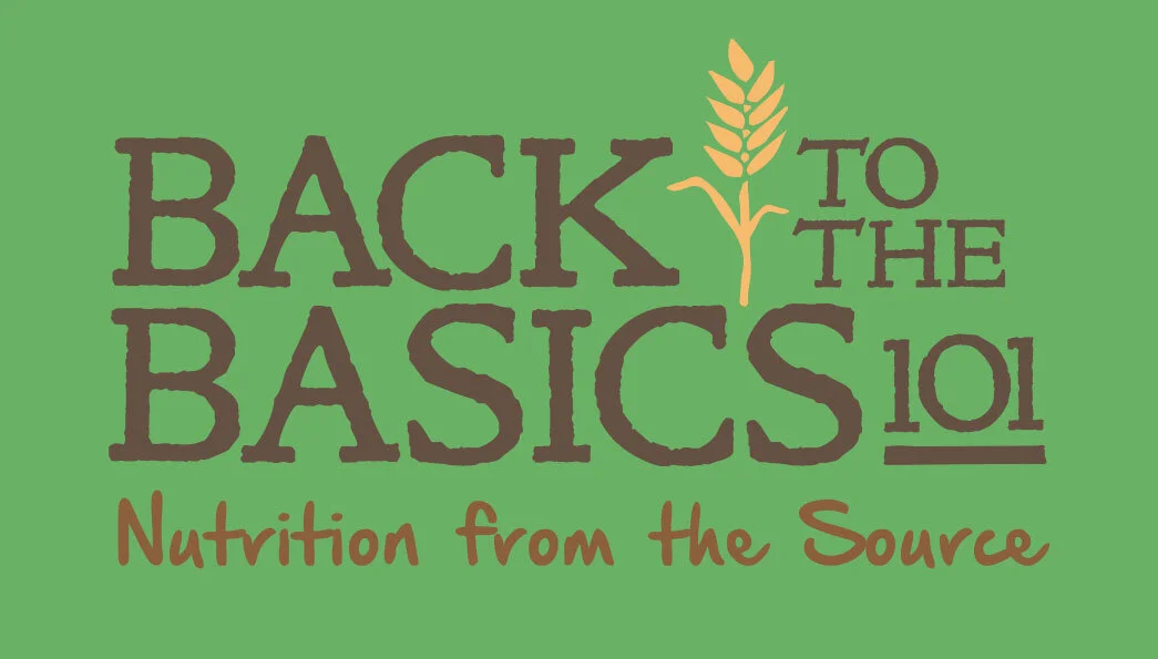 Back to the Basics 101