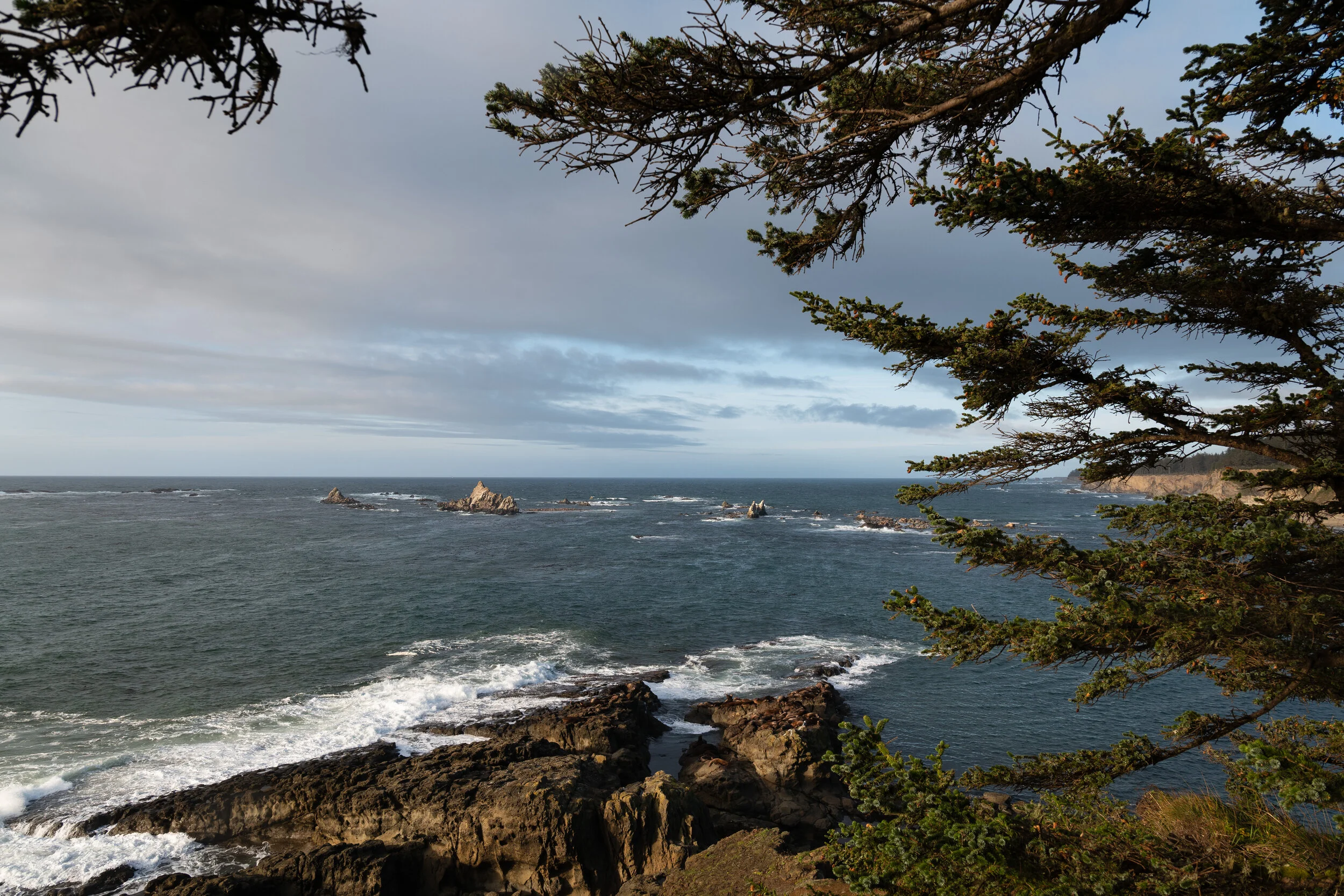Cape Arago — Travels and Curiosities | Hidden Gems, Unique Travel ...