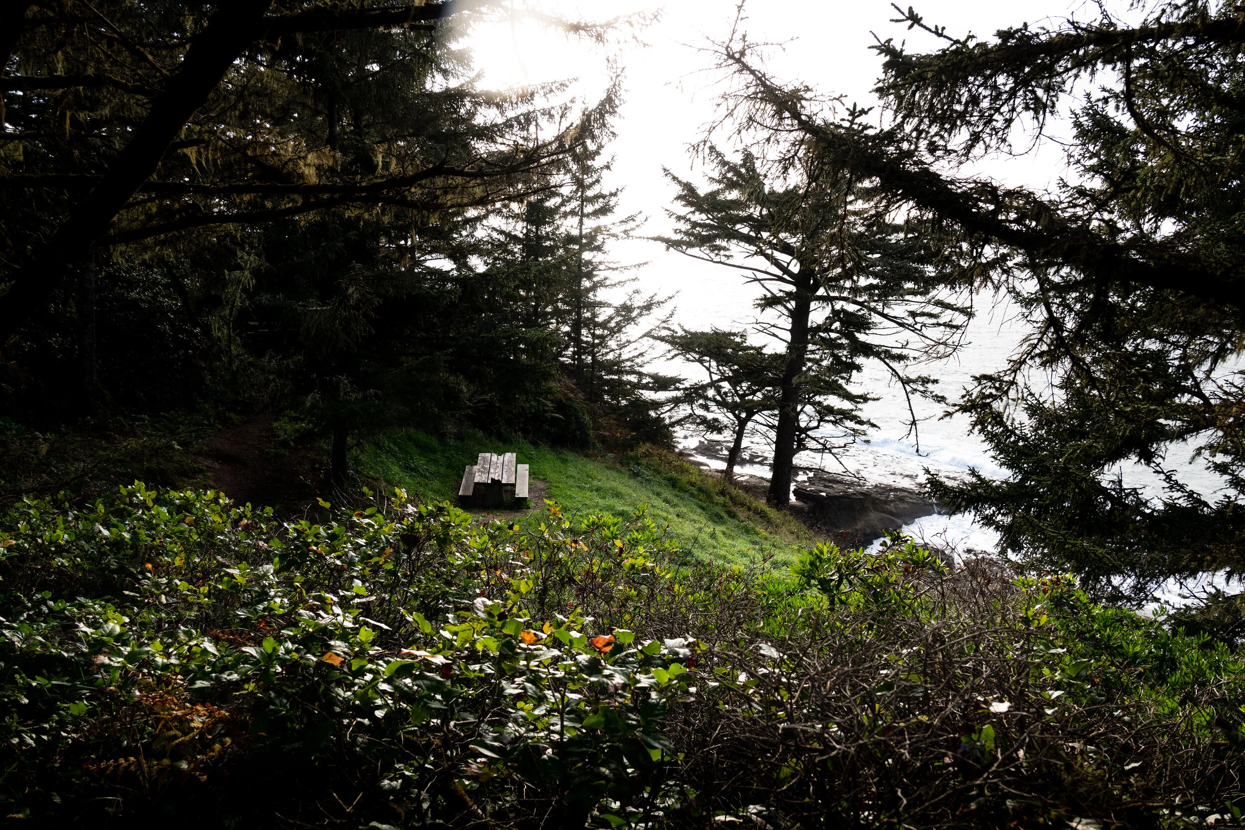 Cape Arago — Travels and Curiosities | Hidden Gems, Unique Travel ...