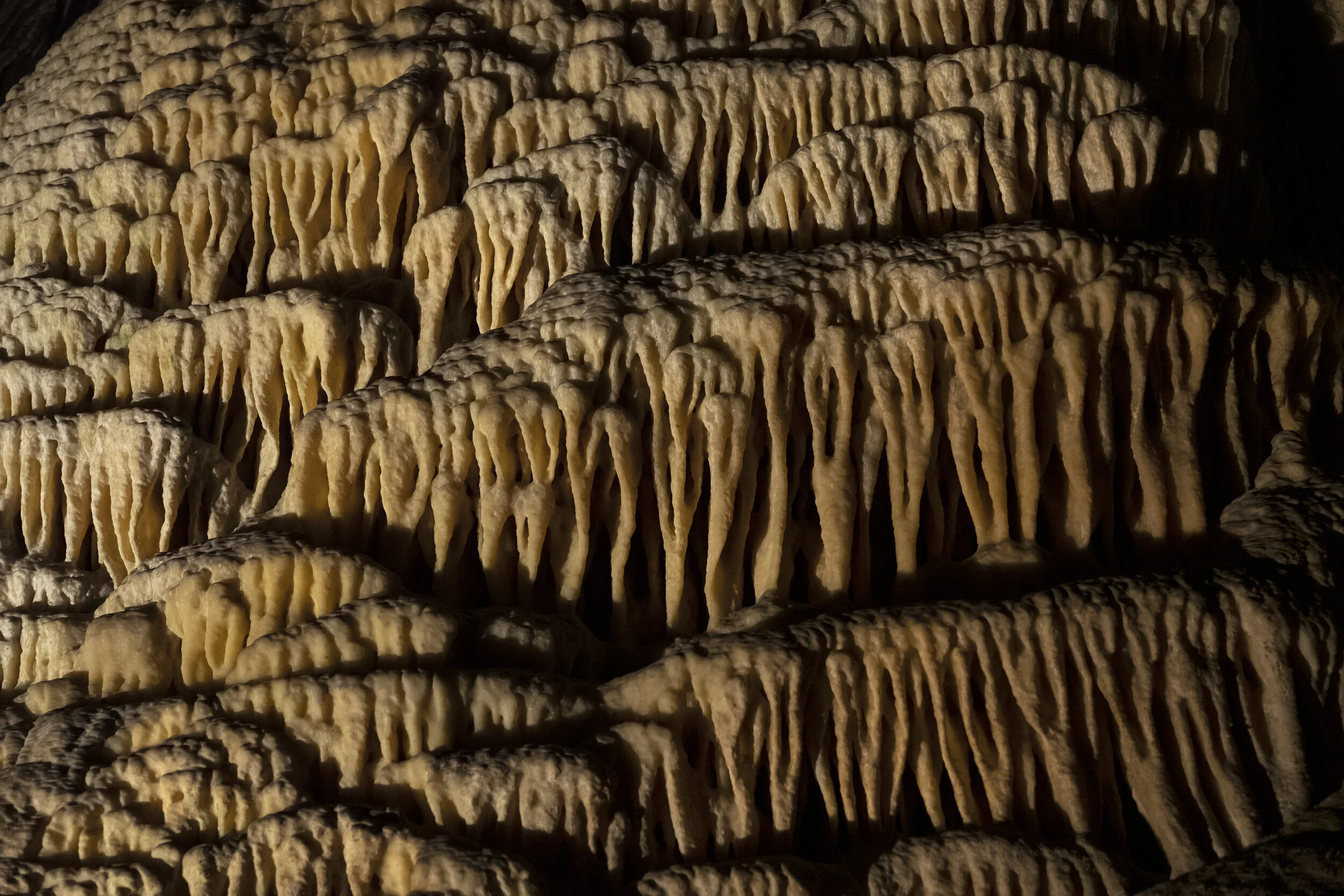 Carlsbad Caverns National Park — Travels and Curiosities | Hidden Gems ...