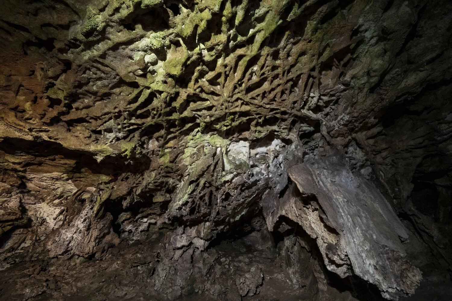 Visiting Wonderland Cave: A Black Hills Hidden Gem — Travels and ...