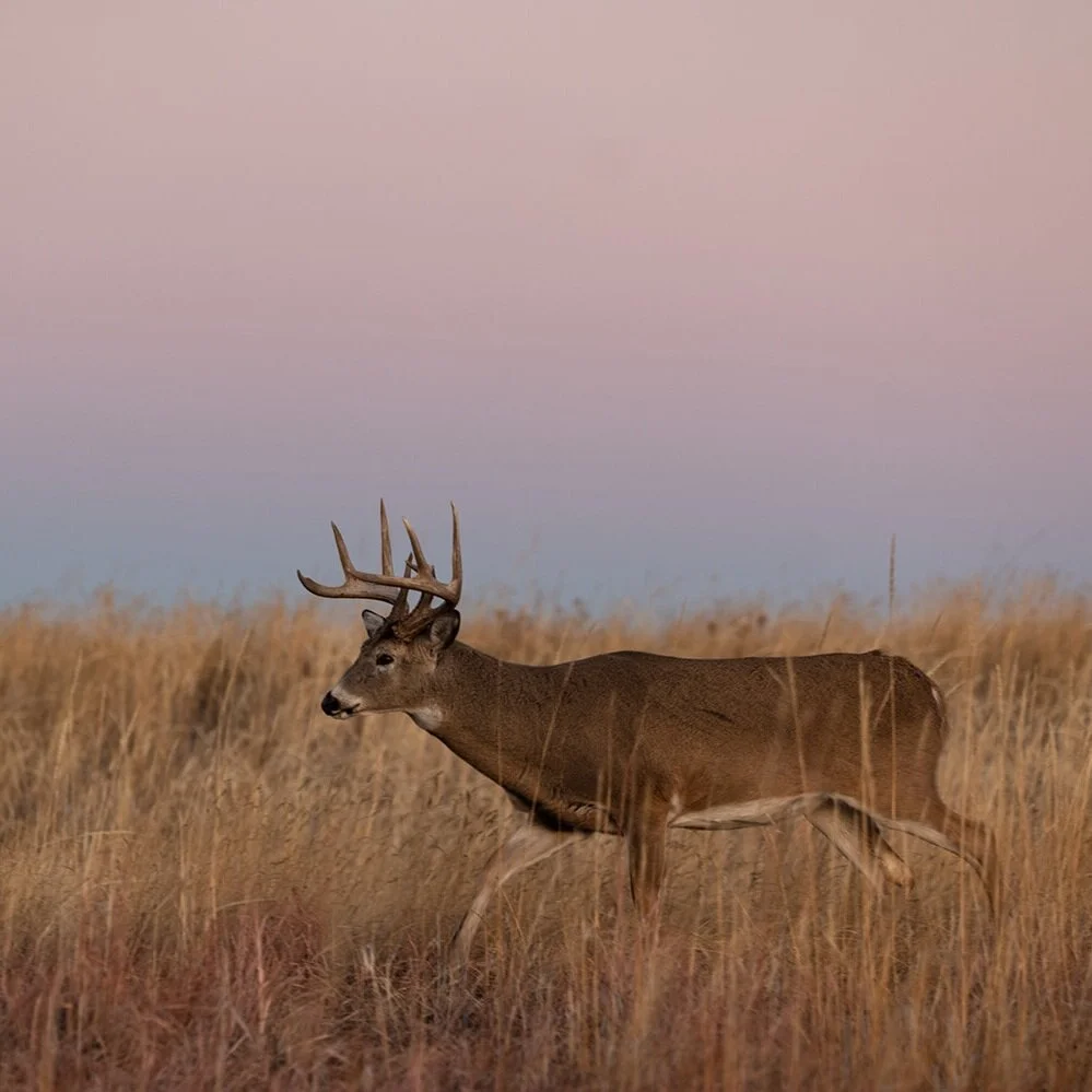 Colorado’s Best Hidden Gems — Travels and Curiosities :: TTravels and ...