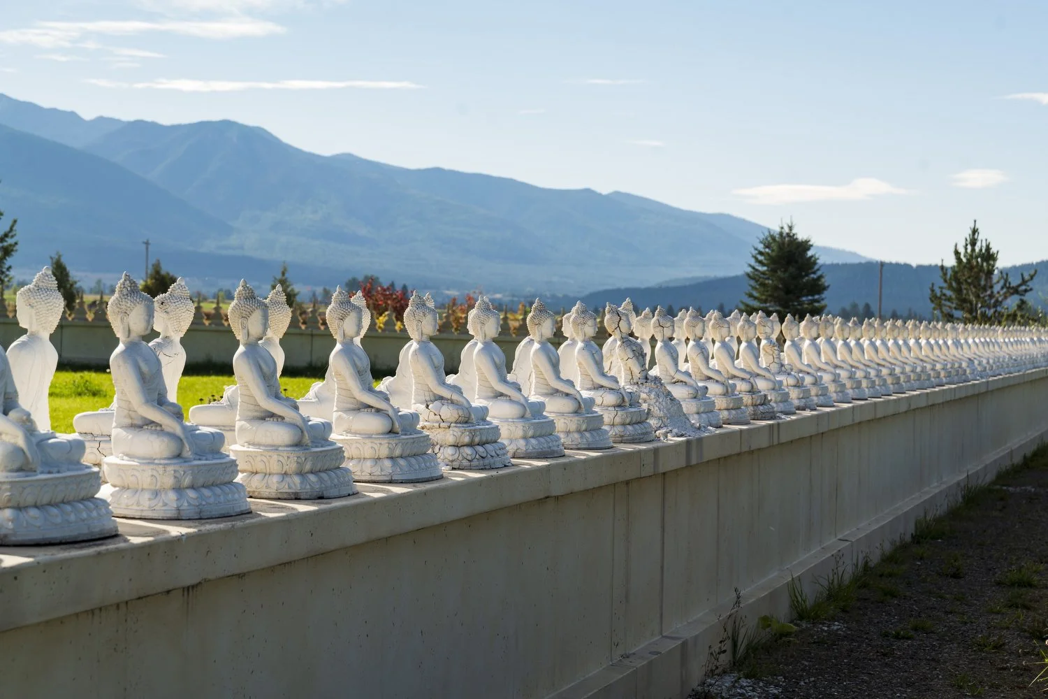 Garden of 1000 Buddhas — Travels and Curiosities :: Travel and ...