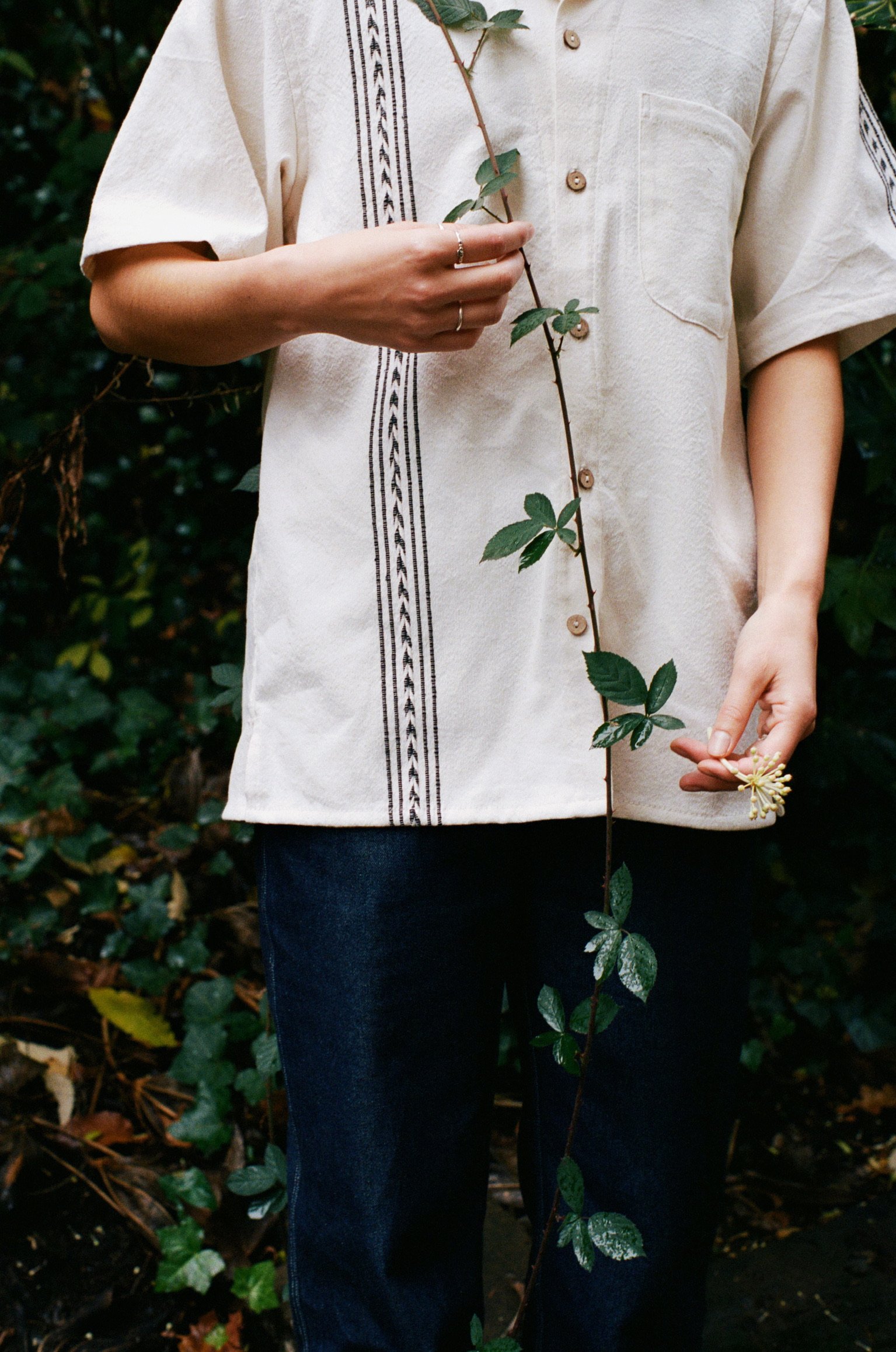 GRAZIANO AND GUTIERREZ