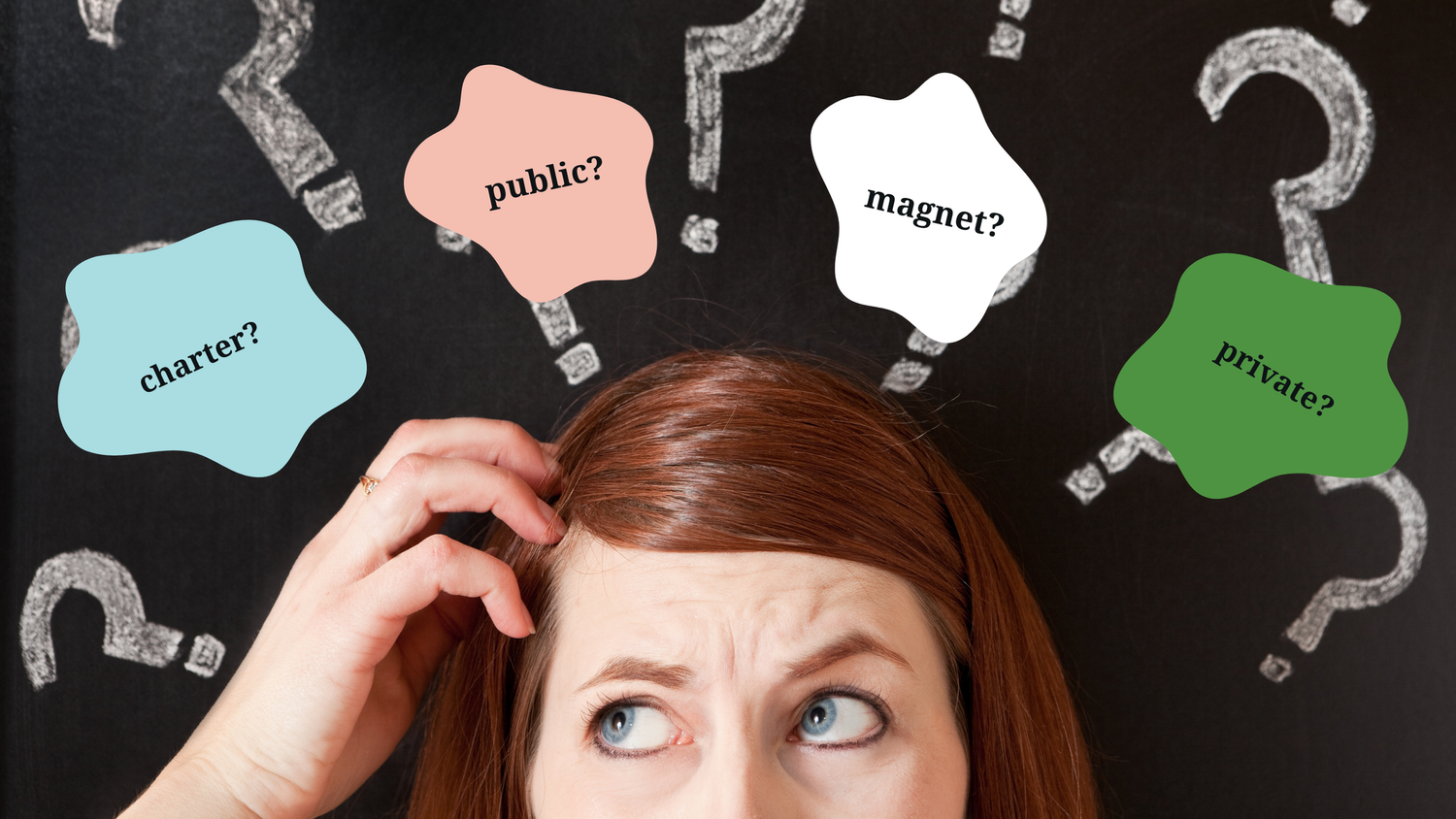 Difference Between Charter And Magnet Schools What Are Magne