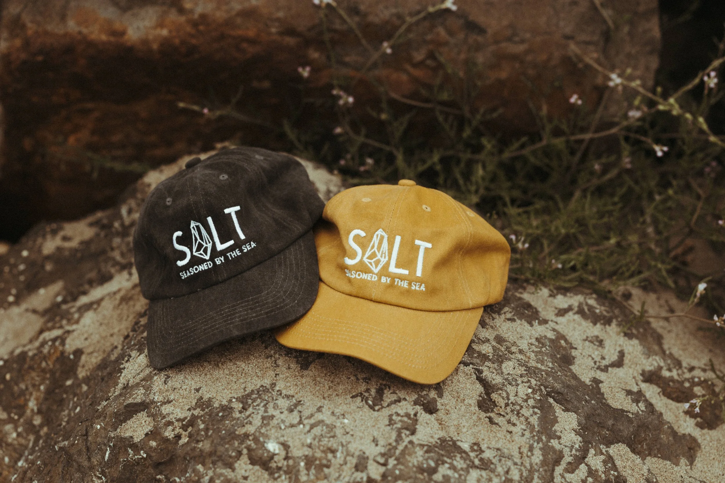 Shop | Salt
