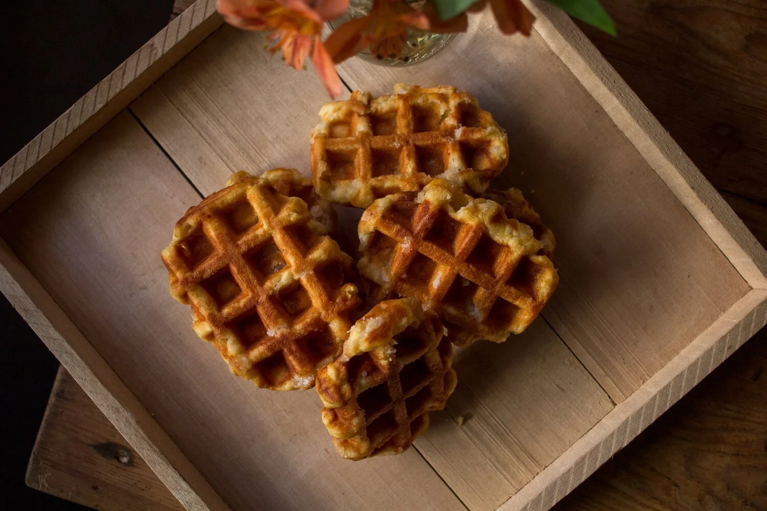 Glutenus Maximus Bakehouse