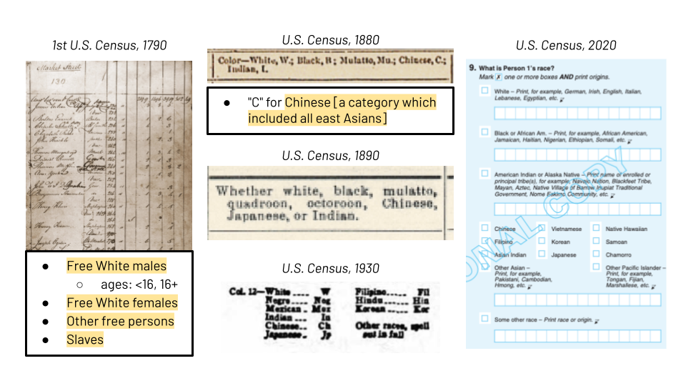 Census.gov Datasets — AI. Culture. Creativity.