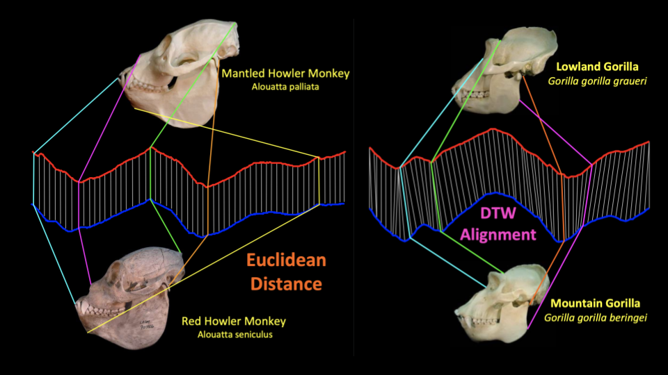Dynamic Time Warping (DTW) — AI. Culture. Creativity.