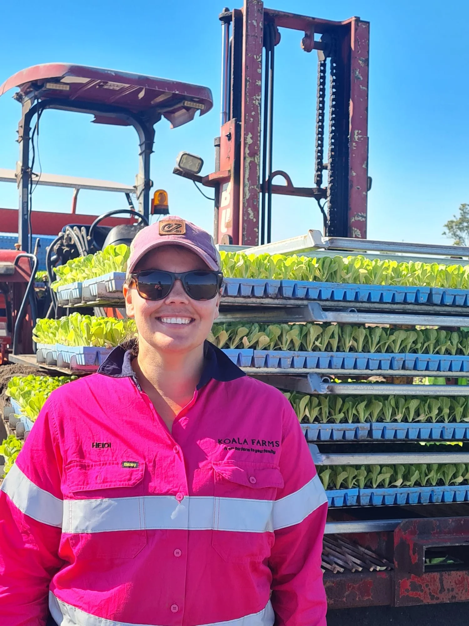 About — Koala farms