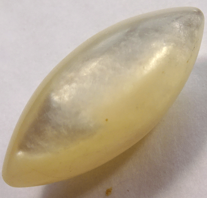 Mother of Pearl buttons for sale — VINTAGE BUTTON EMPORIUM