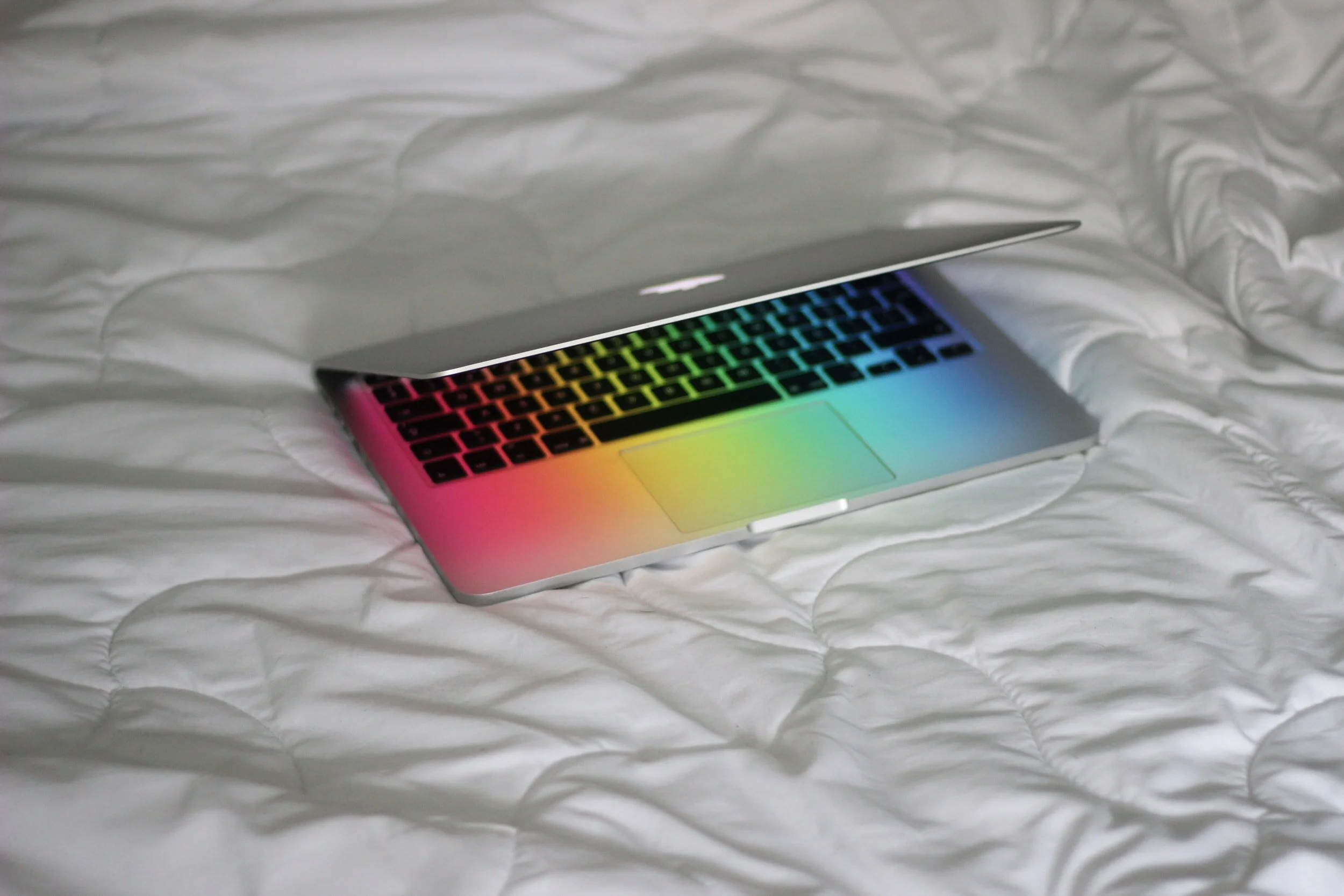 Library — AMY NOVINSKI