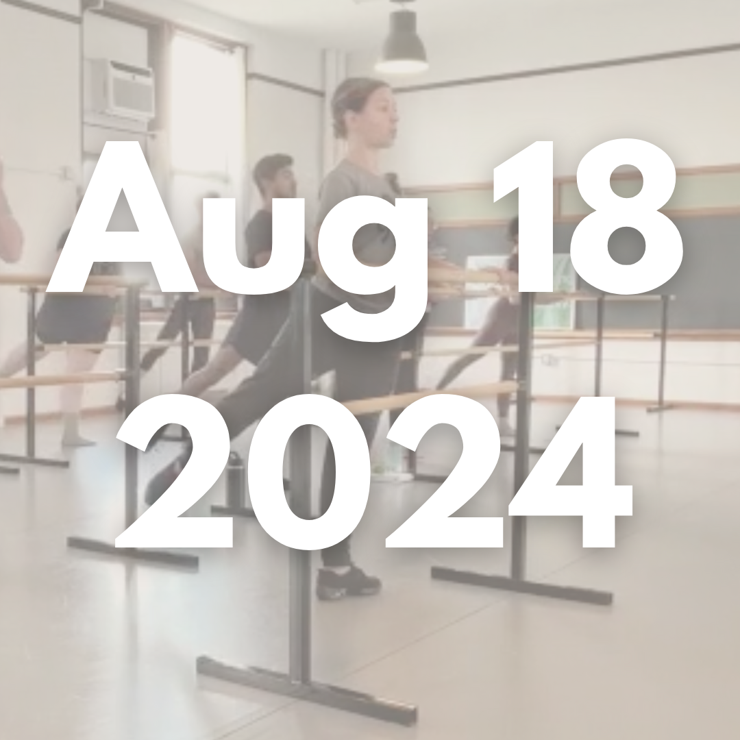 Intro to Ballet — AMY NOVINSKI