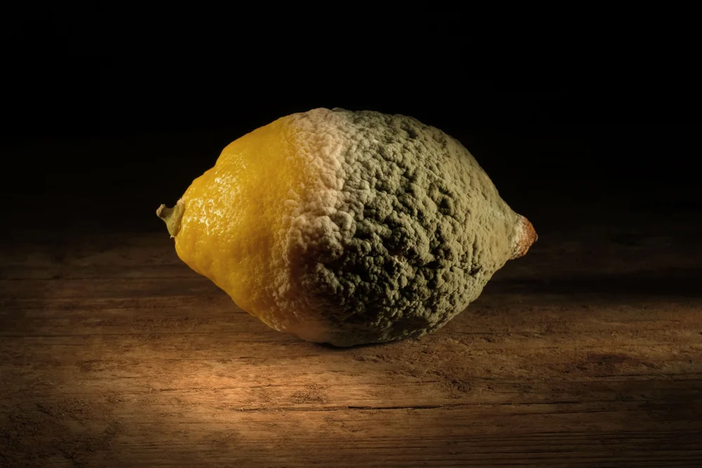 Martin Prothero — GBS Fine Art