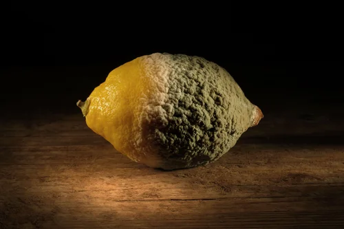 Martin Prothero — GBS Fine Art