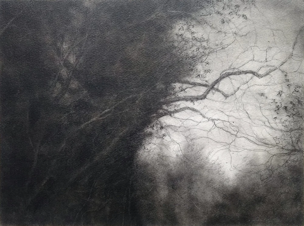 Sue Bryan — GBS Fine Art