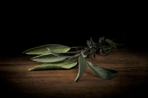 Martin Prothero — GBS Fine Art