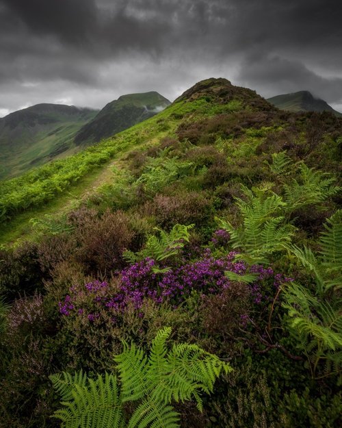 How to Use a Wide Angle Lens for Landscape Photography: The Ultimate ...