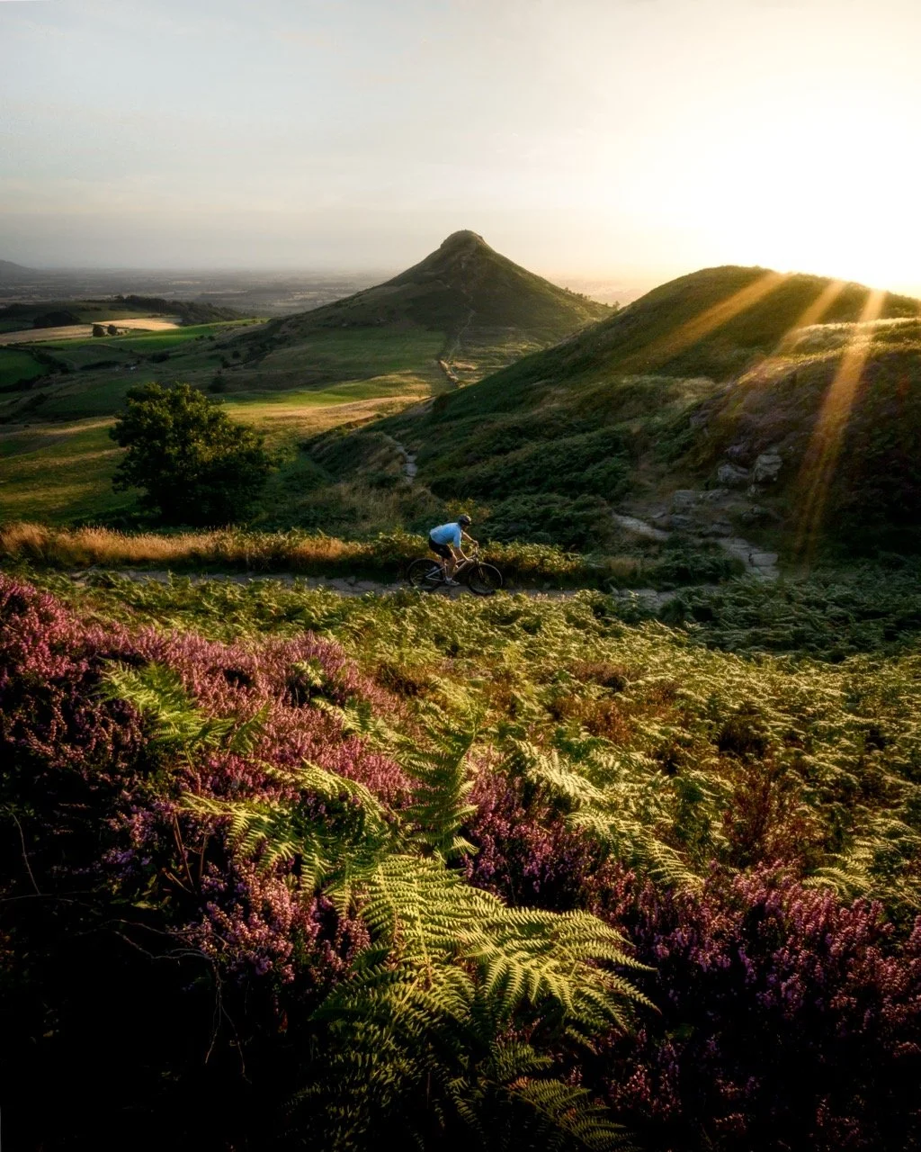 7 Key Landscape Photography Tips to Take Your Shots to the Next Level ...