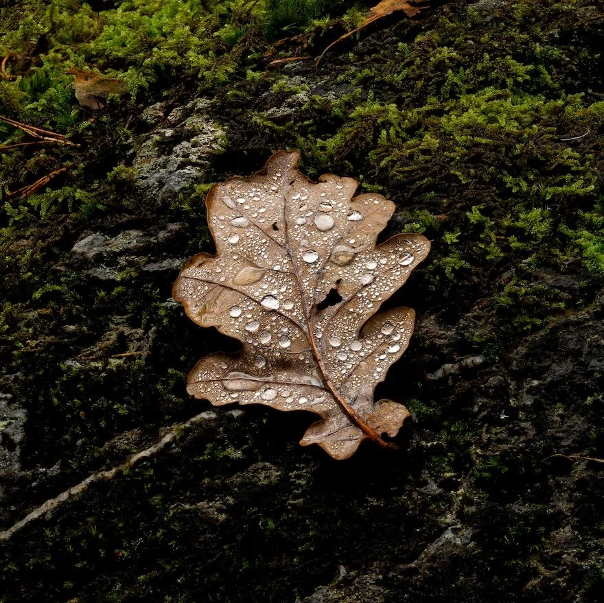 Landscape Photography in the Rain: Tips, Gear and Creative Ideas ...