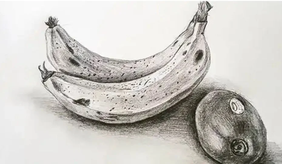 STILL-LIFE DRAWING — MALGORZATA OAKES