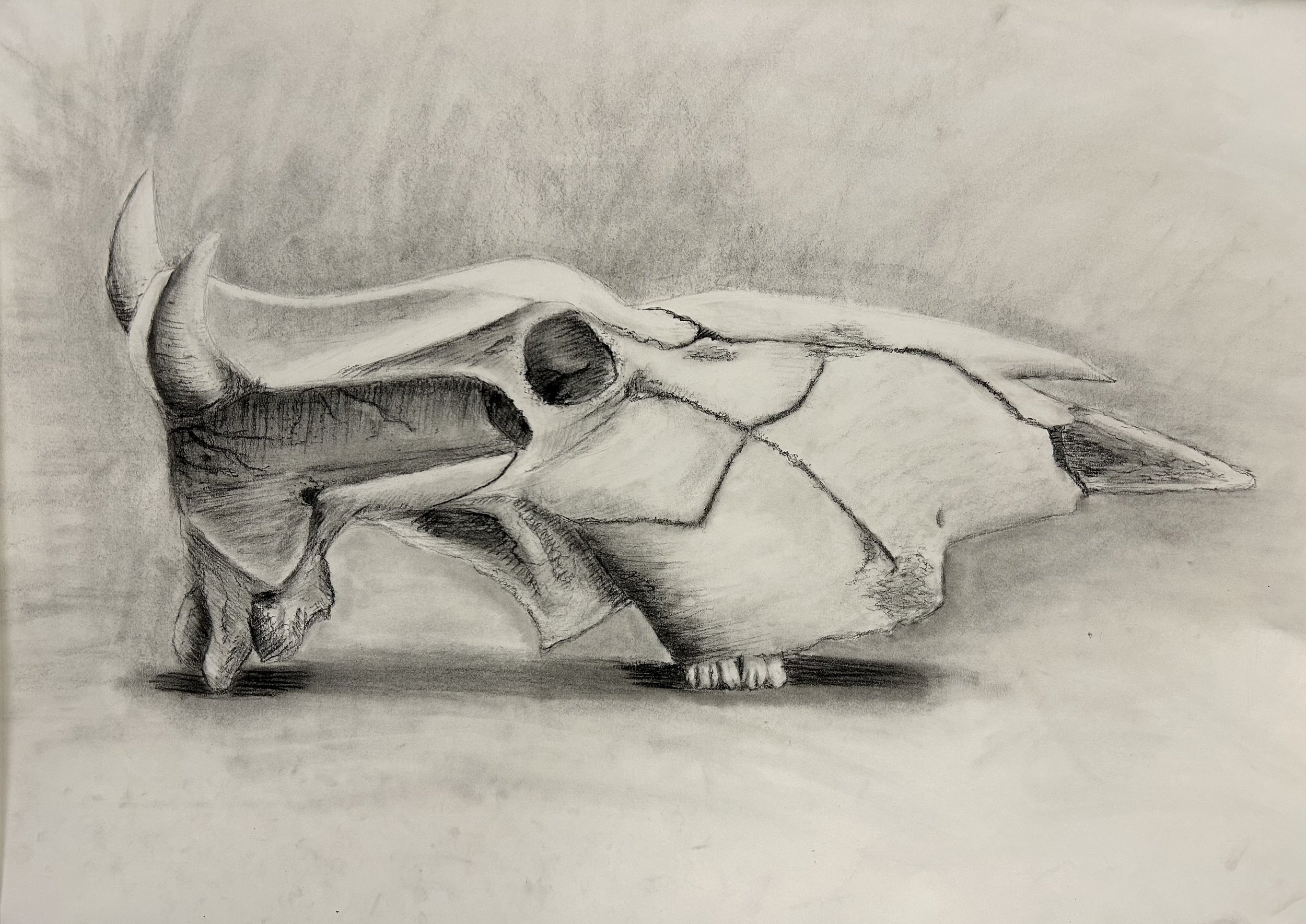 STILL-LIFE DRAWING — MALGORZATA OAKES