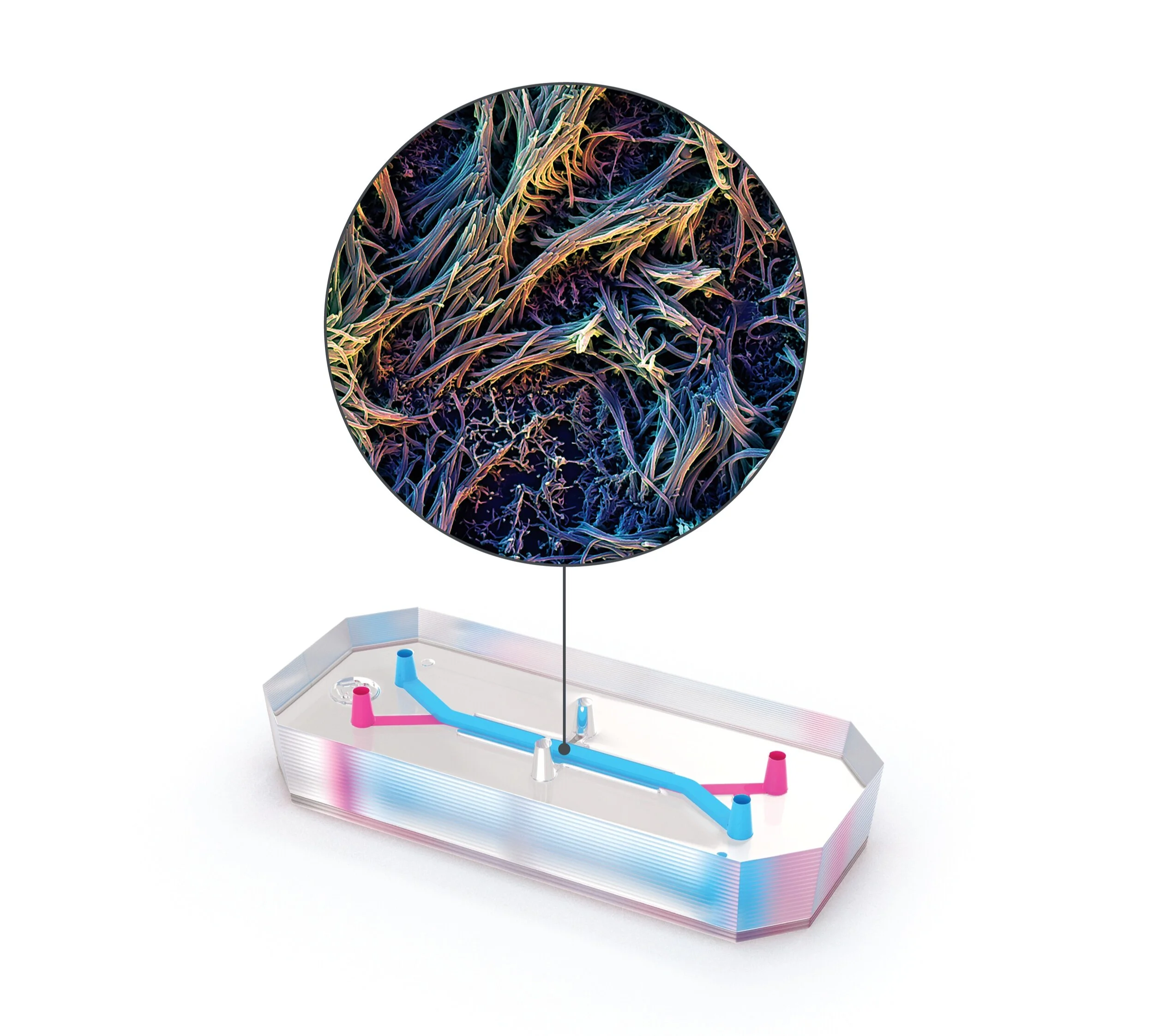 Lung-Chip — Emulate