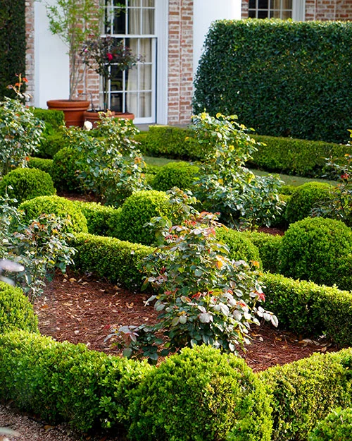 Formal English Estate — Lanson B. Jones & Co.