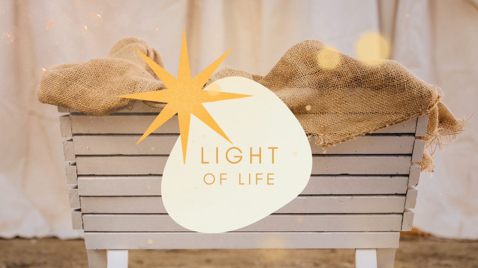 Light of Life — Christine's Place