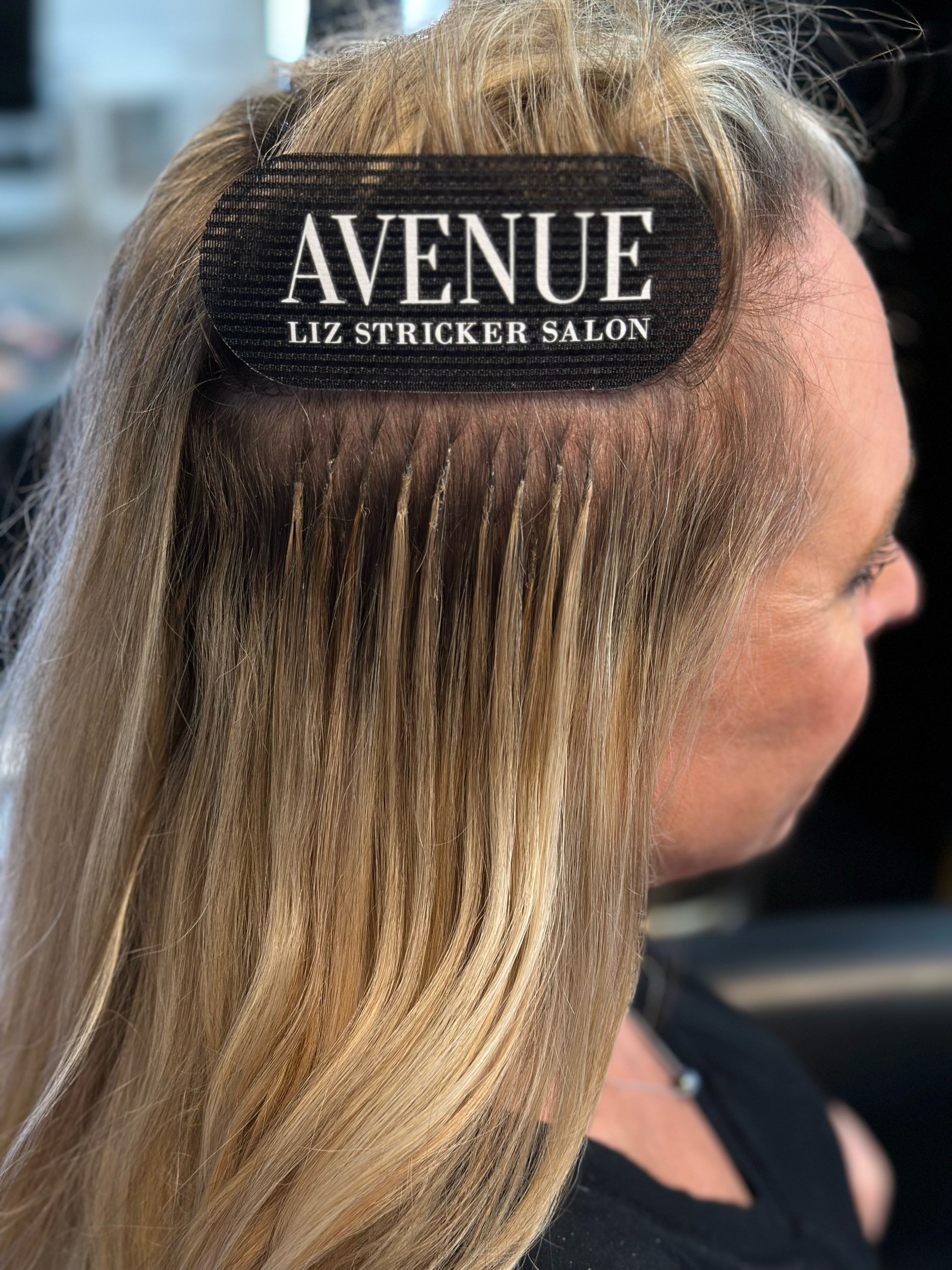 Avenue, Liz Stricker Salon