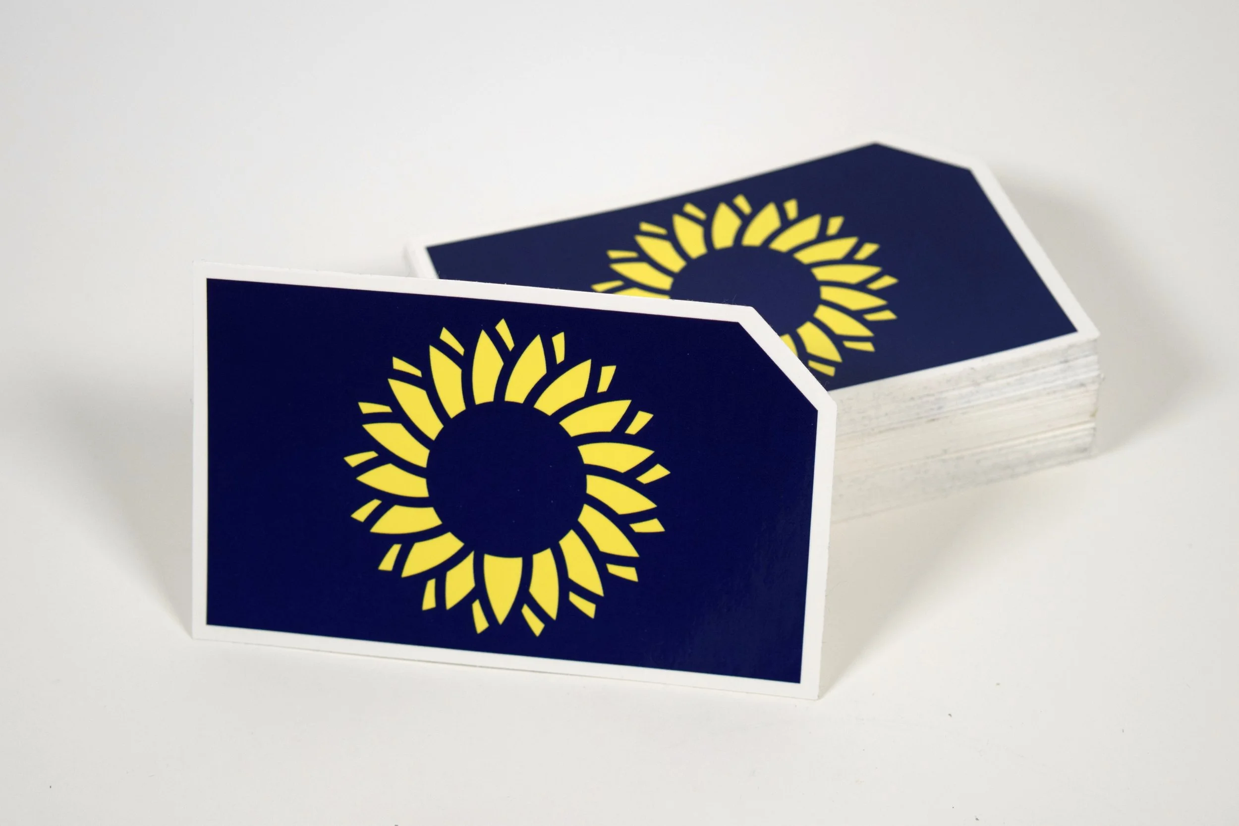 Updates — New Kansas Flag