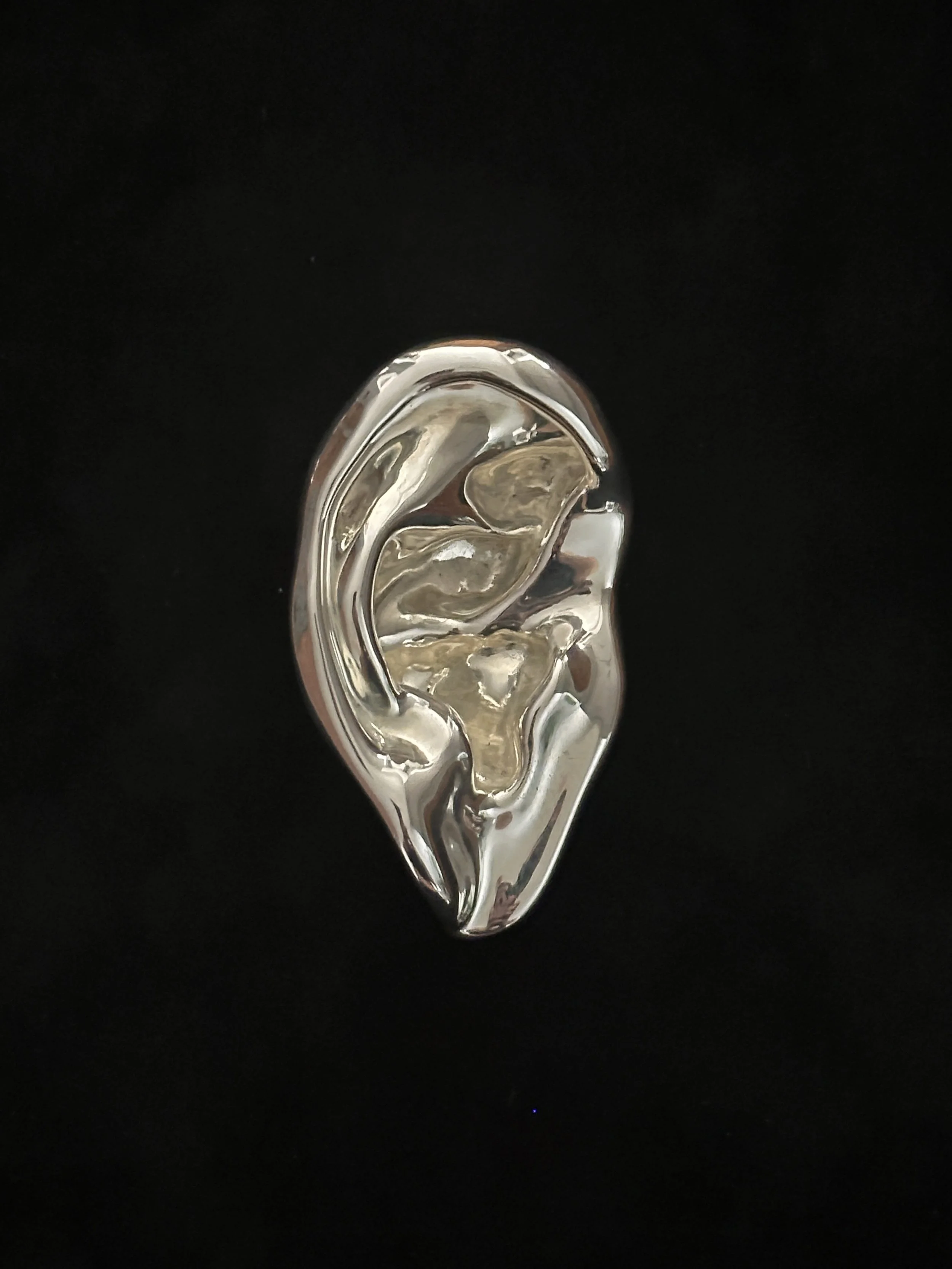 Exhibitions — Culture House