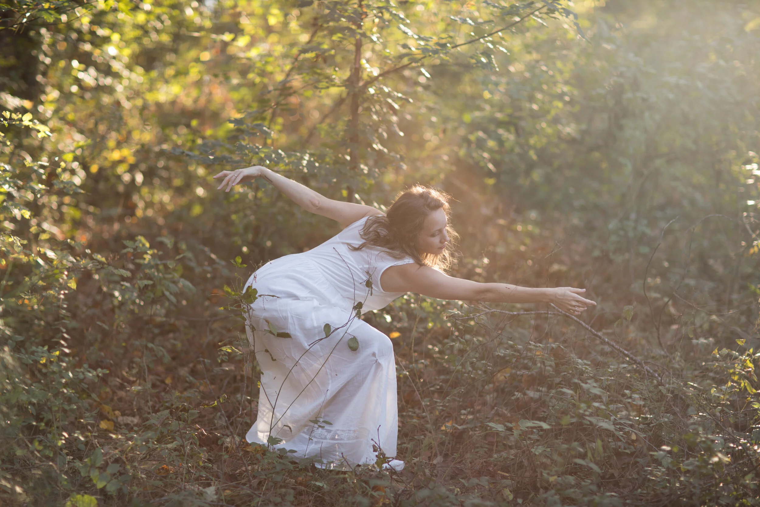 Astrology Sessions — grace allerdice