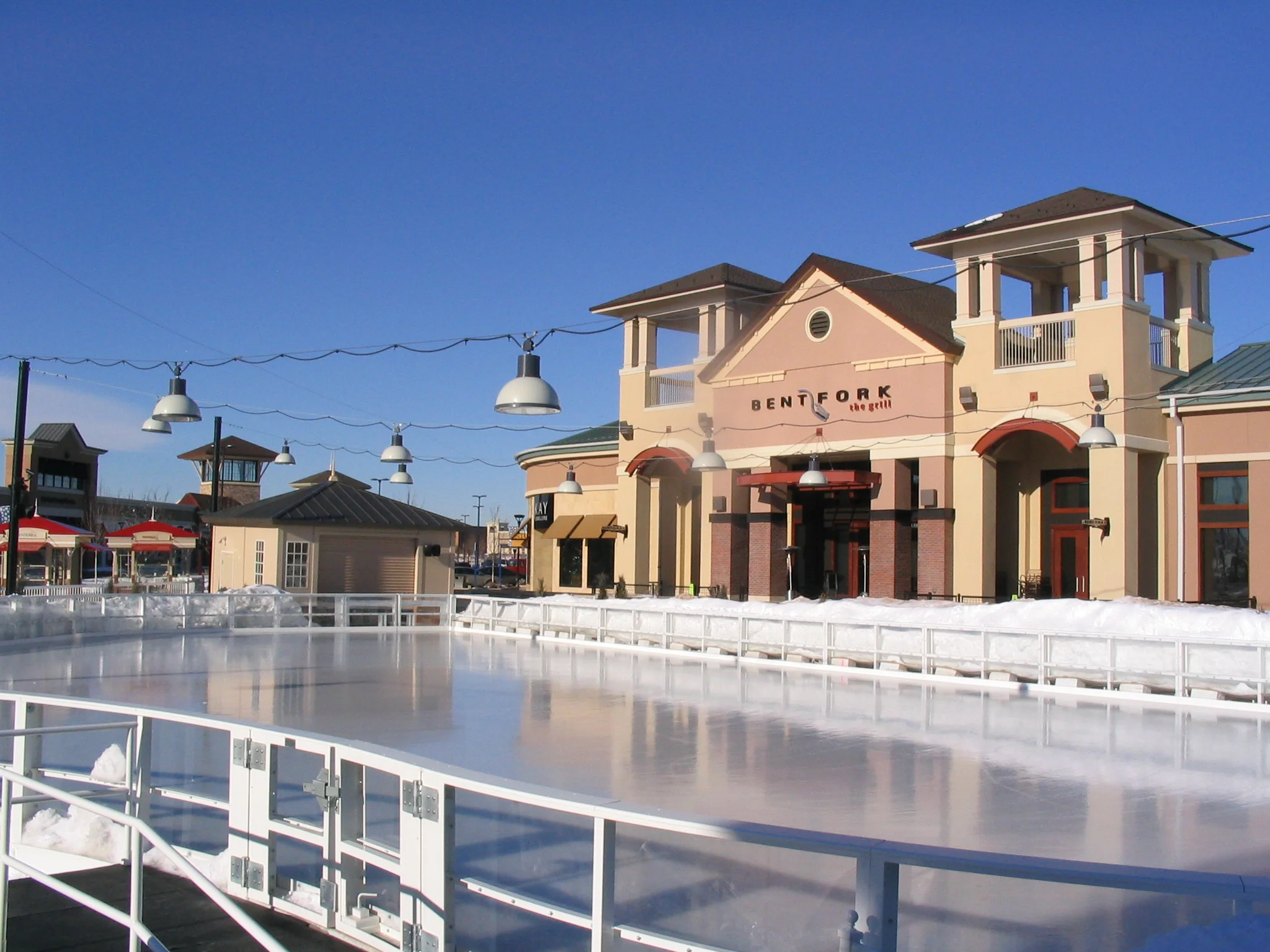 RINK EXPERTS