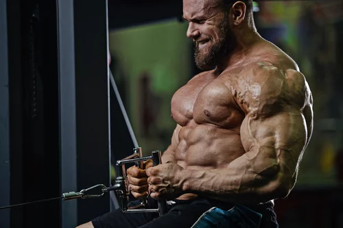 The Secret to Bigger Biceps: Train Them on Leg Day — Harvesting Strength