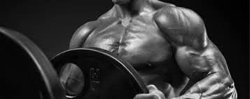 Iron Mind, Iron Body: Maximizing Hypertrophy with the Mind-Muscle ...