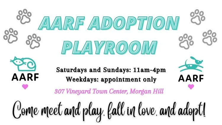 All Animal Rescue & Friends