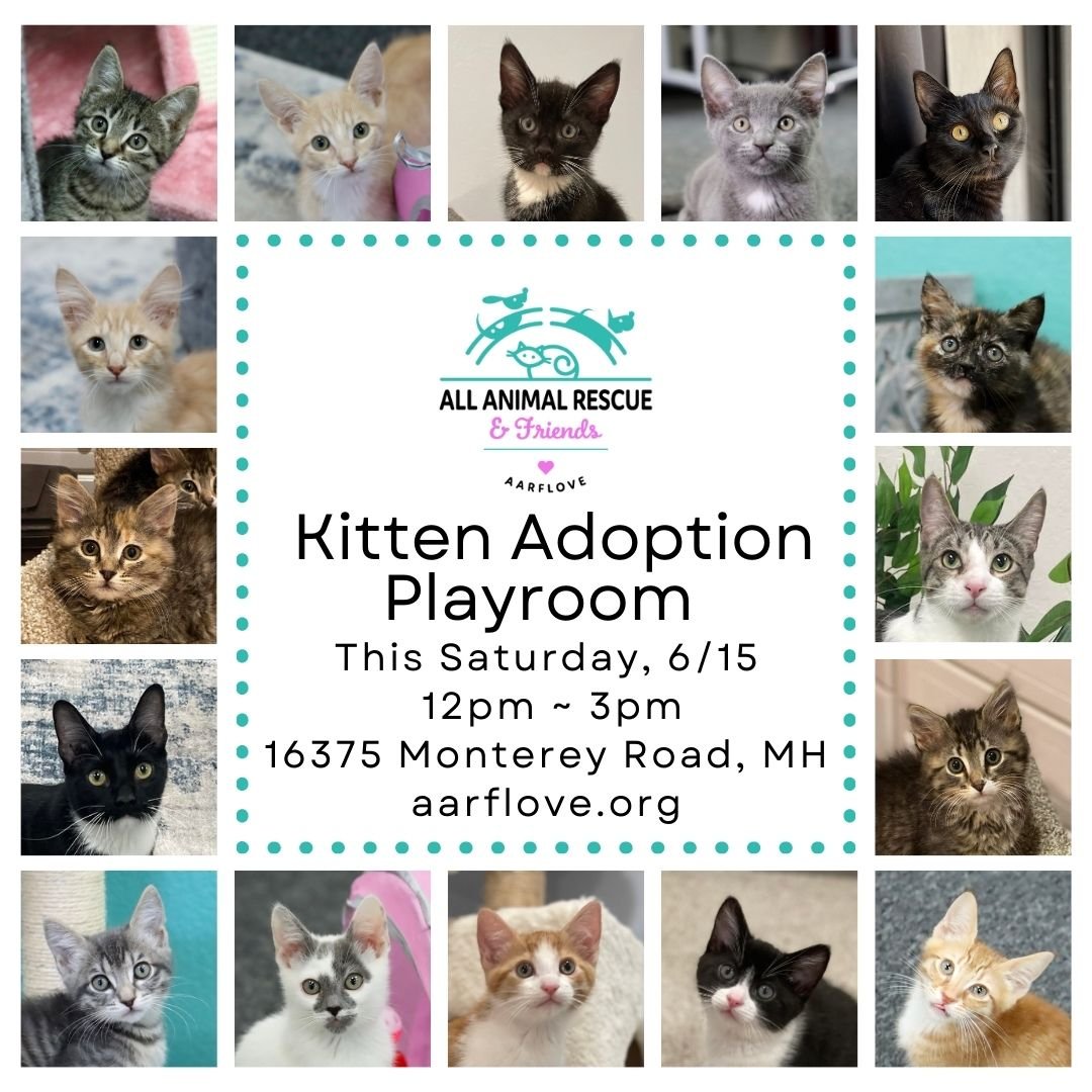 Events — All Animal Rescue & Friends