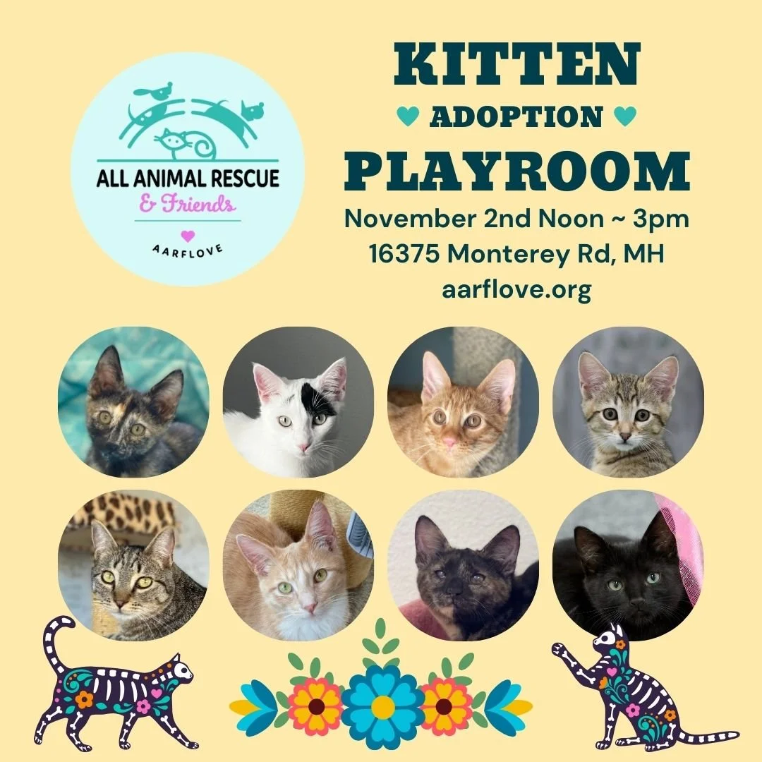 Events — All Animal Rescue & Friends