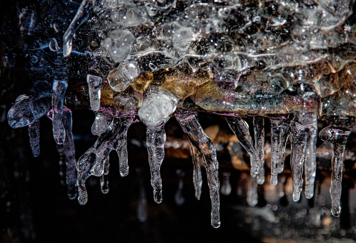 Greg Giesy - Ice